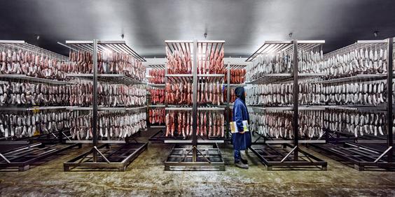 METER Food | AQUALAB food safety and moisture instruments