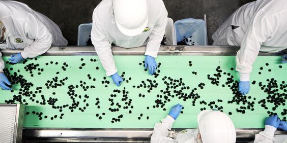 METER Food | AQUALAB food safety and moisture instruments